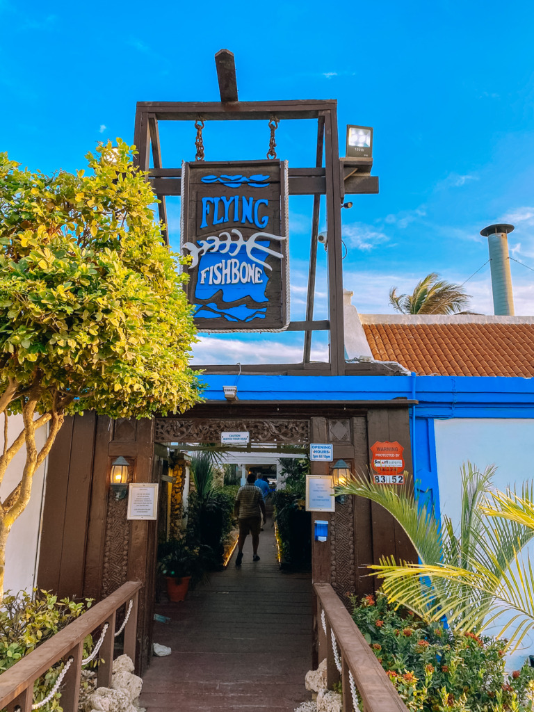 Eclectic Kim Review: Flying Fishbone