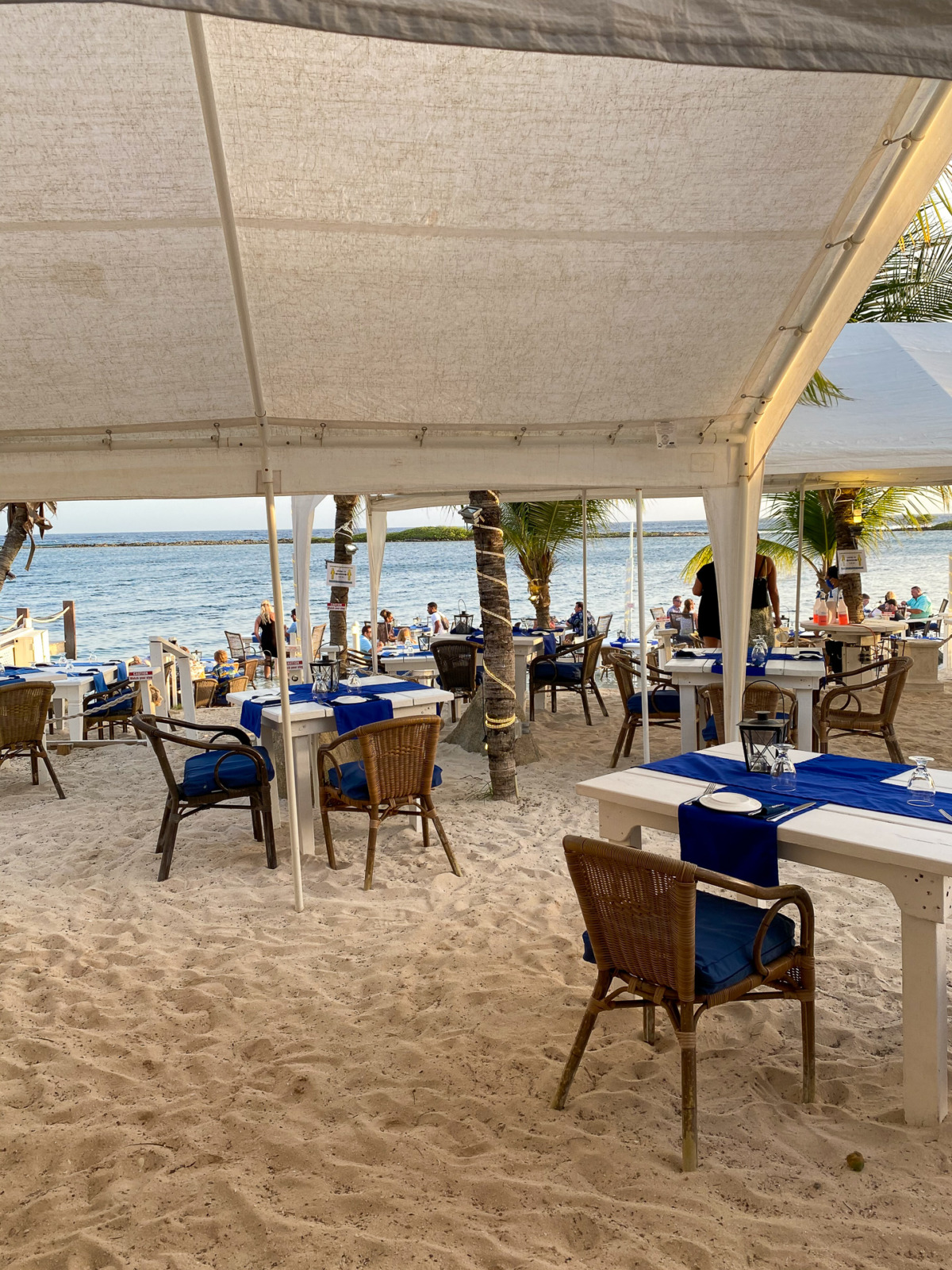 Eclectic Kim Review: Flying Fishbone